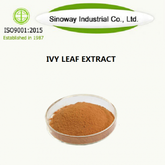 IVY LEAF EXTRACT,Buy IVY LEAF EXTRACT Online -china-sinoway.com