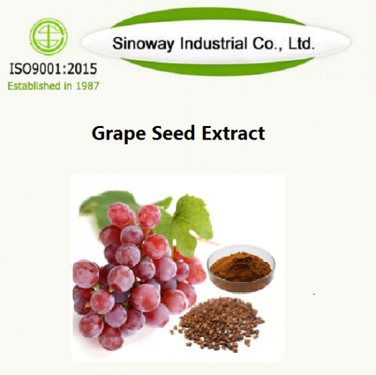 Grape Seed Extract Powder